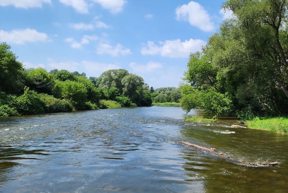 Department of Geography and Environmental Sustainability