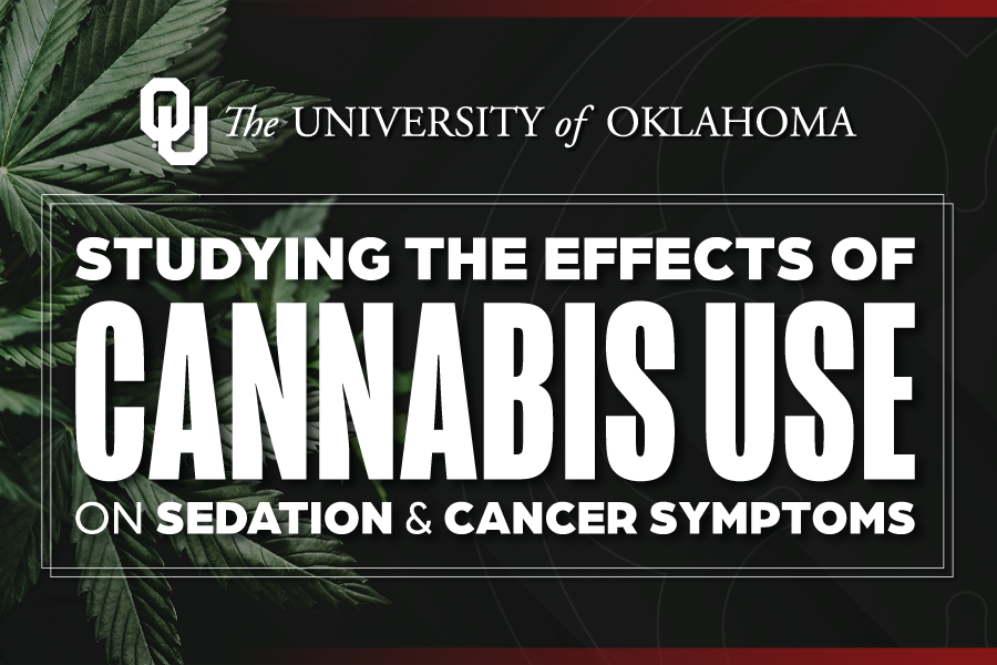 University of Oklahoma Researchers Study Effects of Cannabis on ...